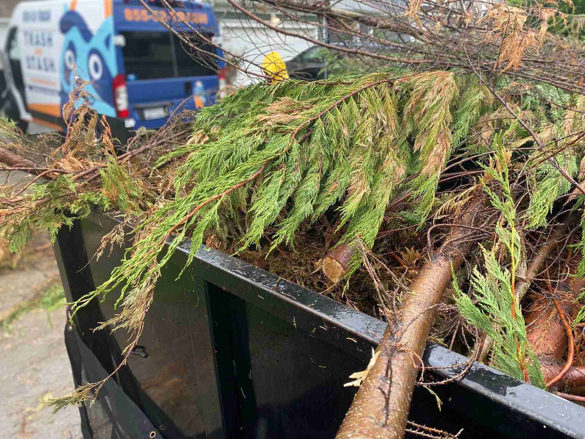 How Do I Get Rid of Branches & Yard Waste Charlotte NC | Trash & Stash